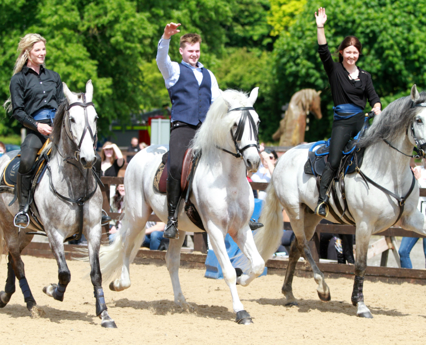 Reaseheath’s Family Festival ‘best ever’ - Reaseheath College