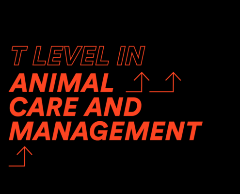 Animal Care - Reaseheath College