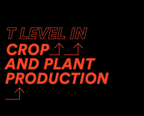 T Levels - Courses we offer | Reaseheath College