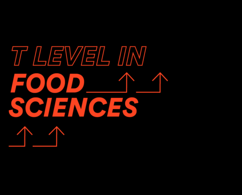 T Levels - Courses we offer | Reaseheath College