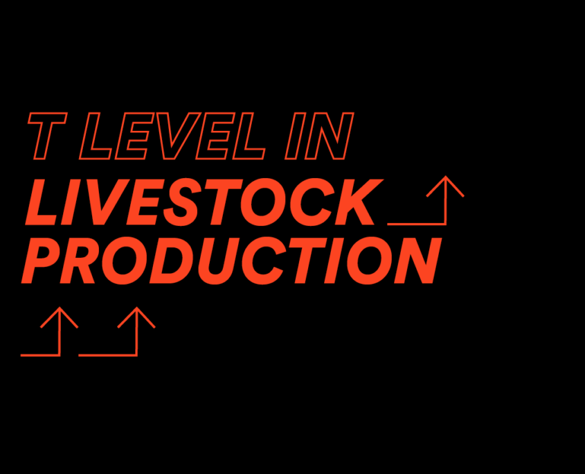 T Levels - Courses we offer | Reaseheath College