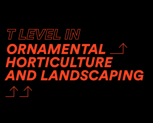 T Levels - Courses we offer | Reaseheath College