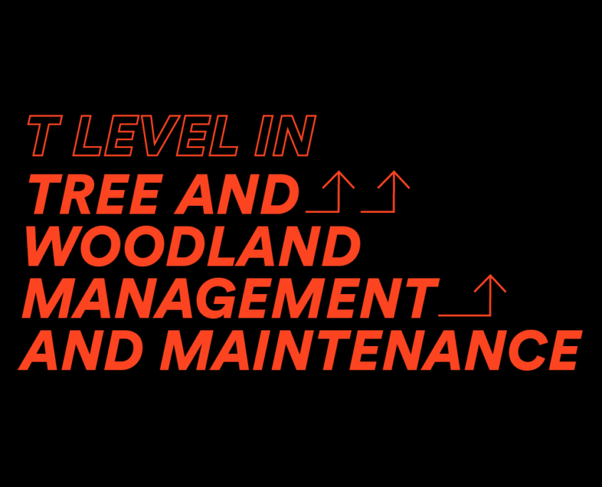 T Levels - Courses we offer | Reaseheath College