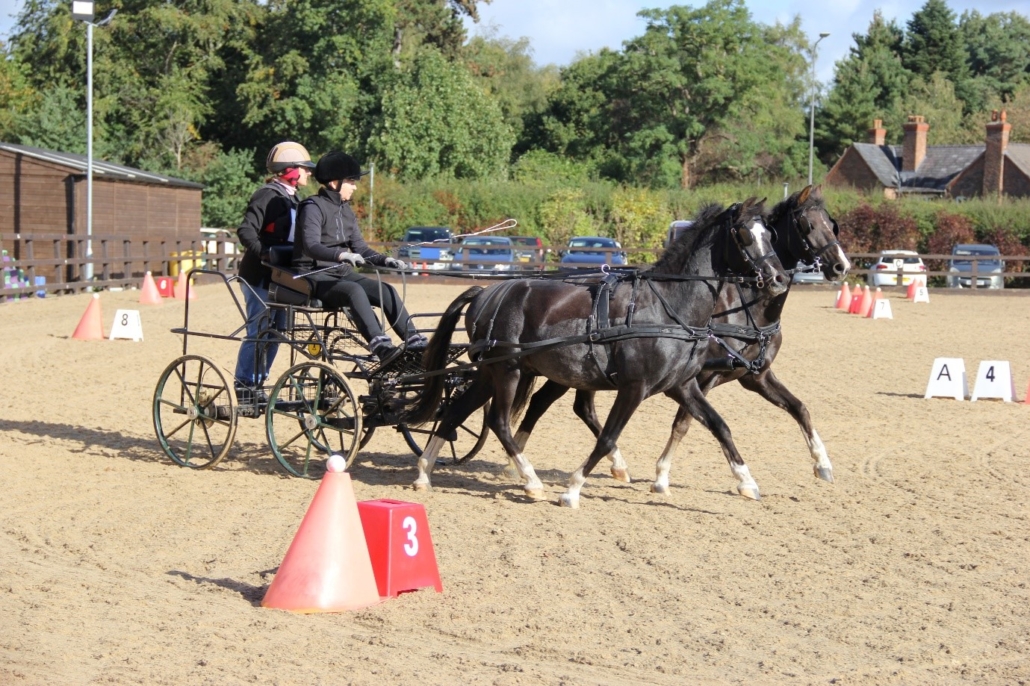 CDT1 - Reaseheath College