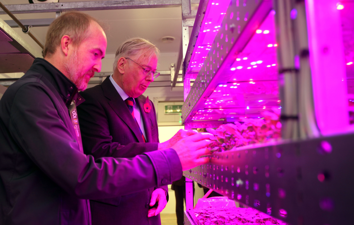 HRH The Duke of Gloucester joins Dr Peter Gould in the Vertical Farm - Reaseheath College