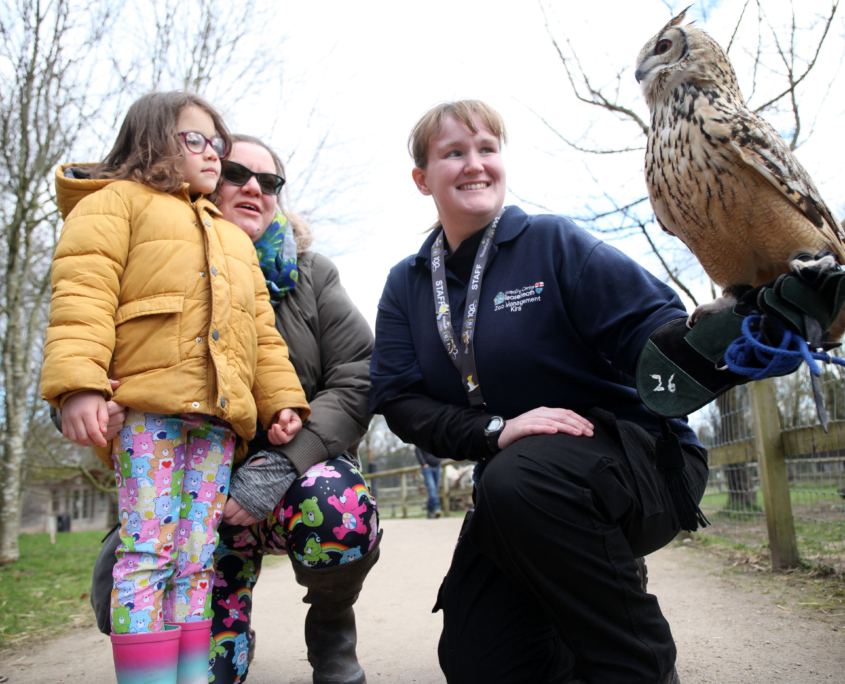 Families expected to flock to Reaseheath Lambing Weekends