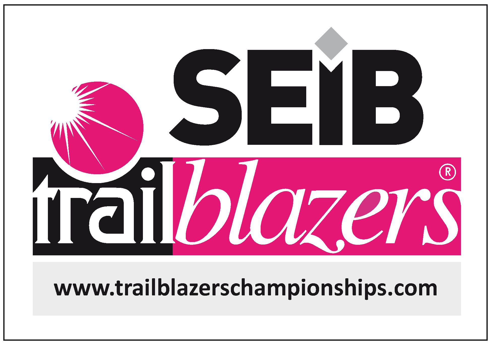 Unaffiliated Dressage - Reaseheath College