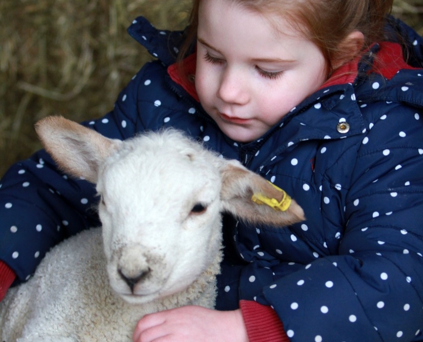 Families flock to Reaseheath College’s Lambing Weekend - Reaseheath College