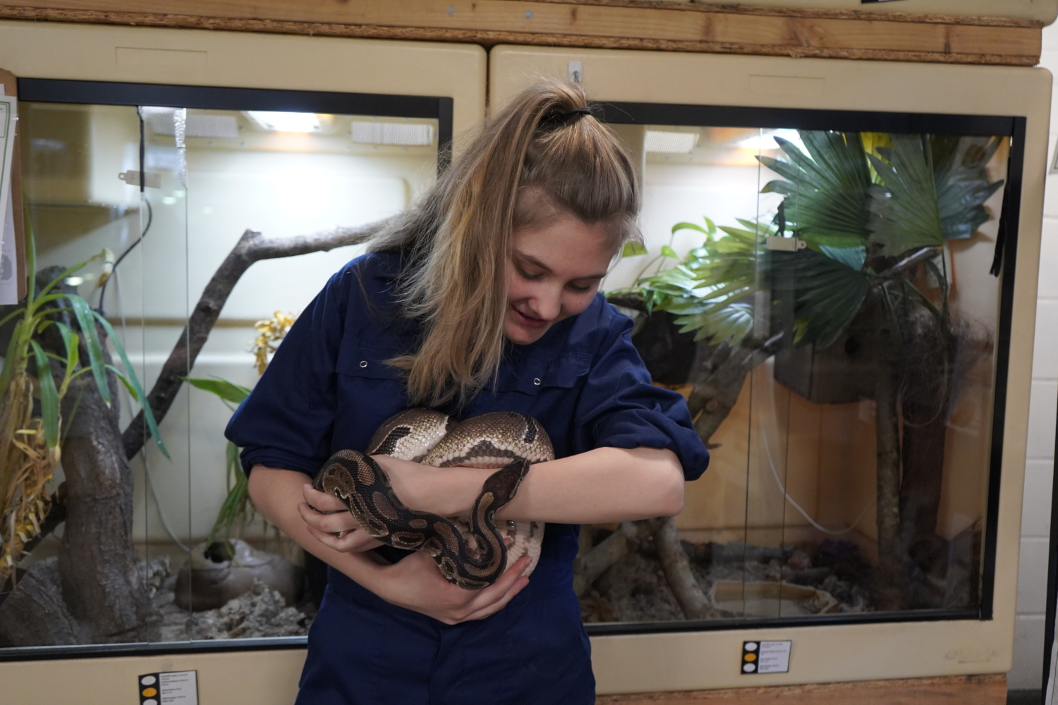 Animal Management - student with snake - Reaseheath College