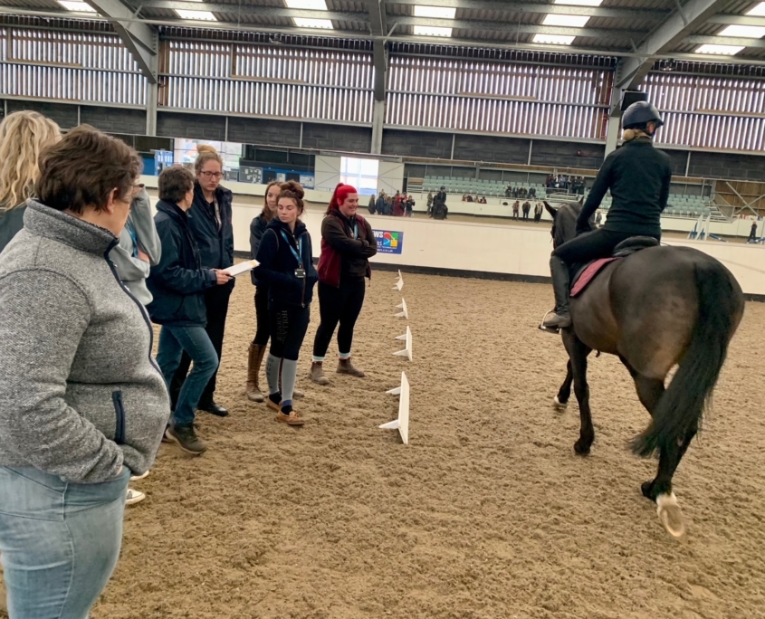 Seminar tackles equine safeguarding in sport - Reaseheath College