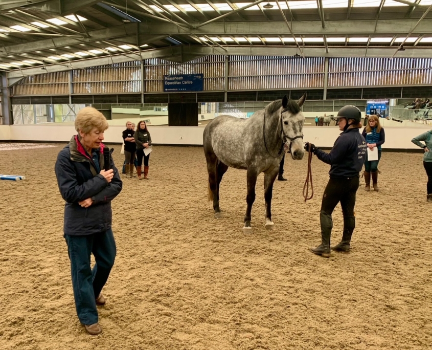 Seminar tackles equine safeguarding in sport - Reaseheath College