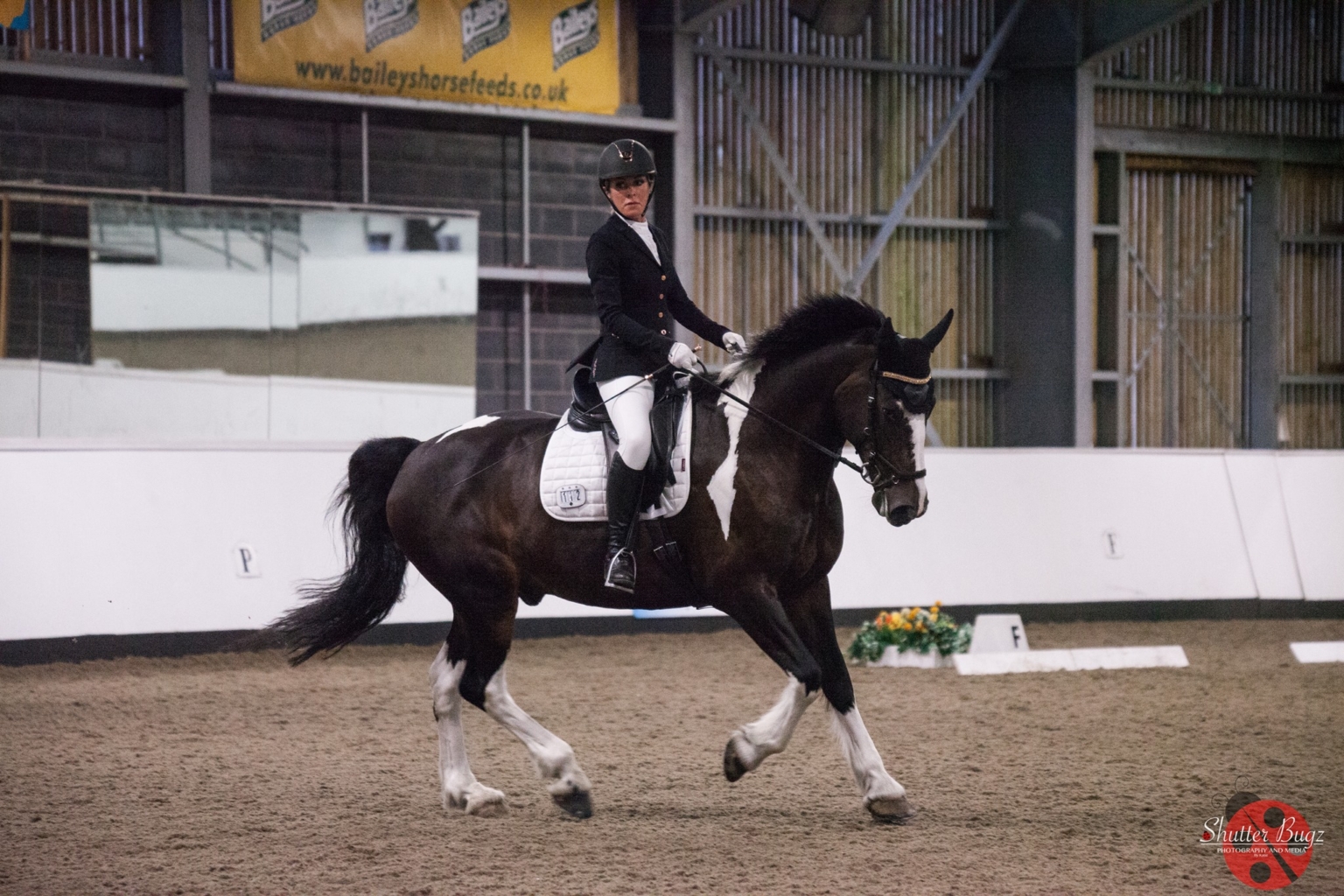 Reaseheath Equestrian Unaffiliated Championship 2025 - Reaseheath College
