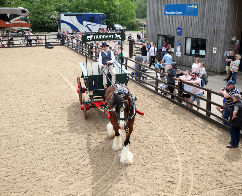 Family focused fun at Reaseheath’s Festival - Reaseheath College