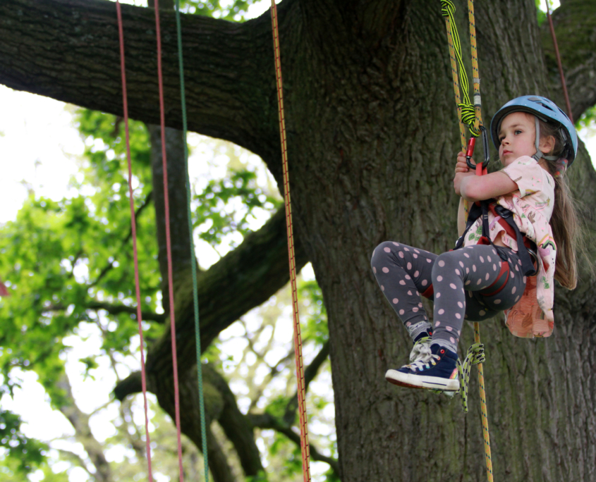 Family focused fun at Reaseheath’s Festival - Reaseheath College