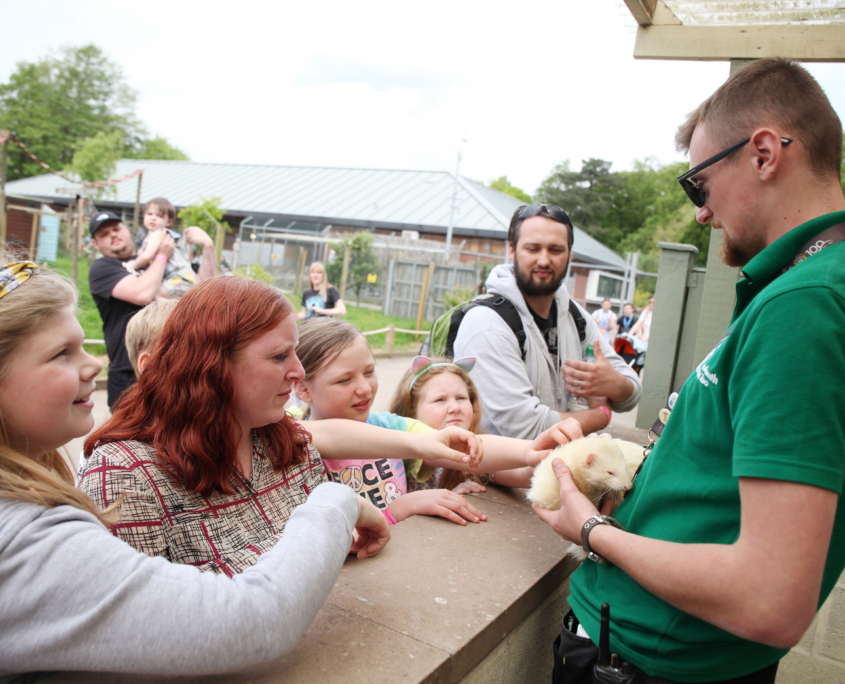 Family focused fun at Reaseheath’s Festival - Reaseheath College