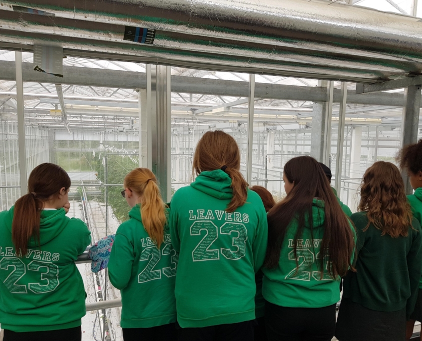 Primary pupils explore journey of food at Reaseheath - Reaseheath College