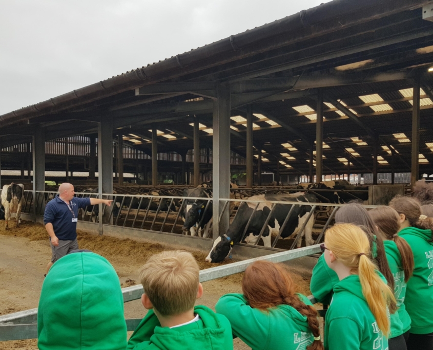 Primary pupils explore journey of food at Reaseheath - Reaseheath College