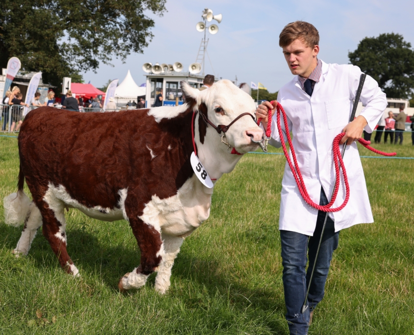 Nantwich Show hailed outstanding success - Reaseheath College