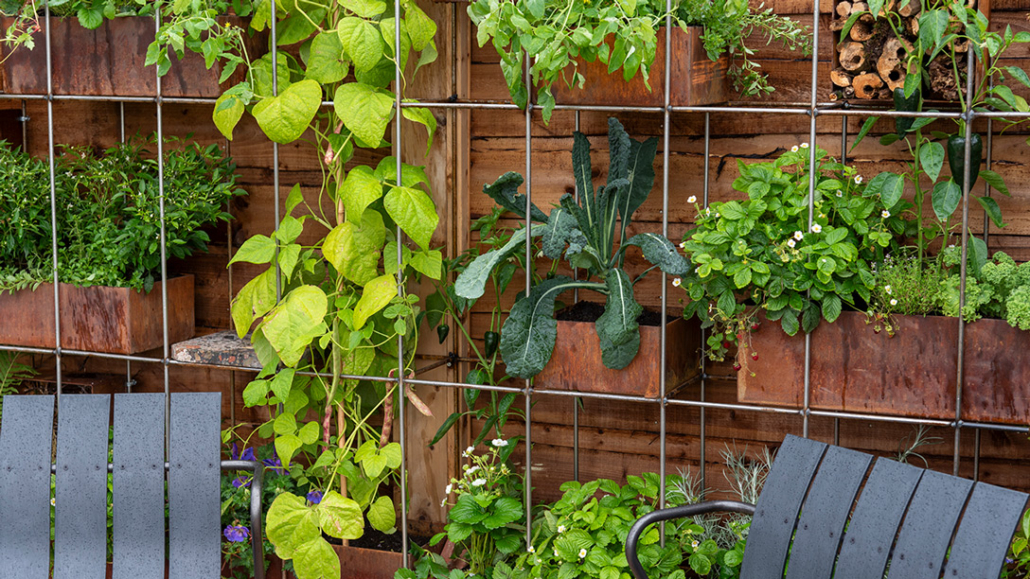 Student helps to build award winning show garden - Reaseheath College