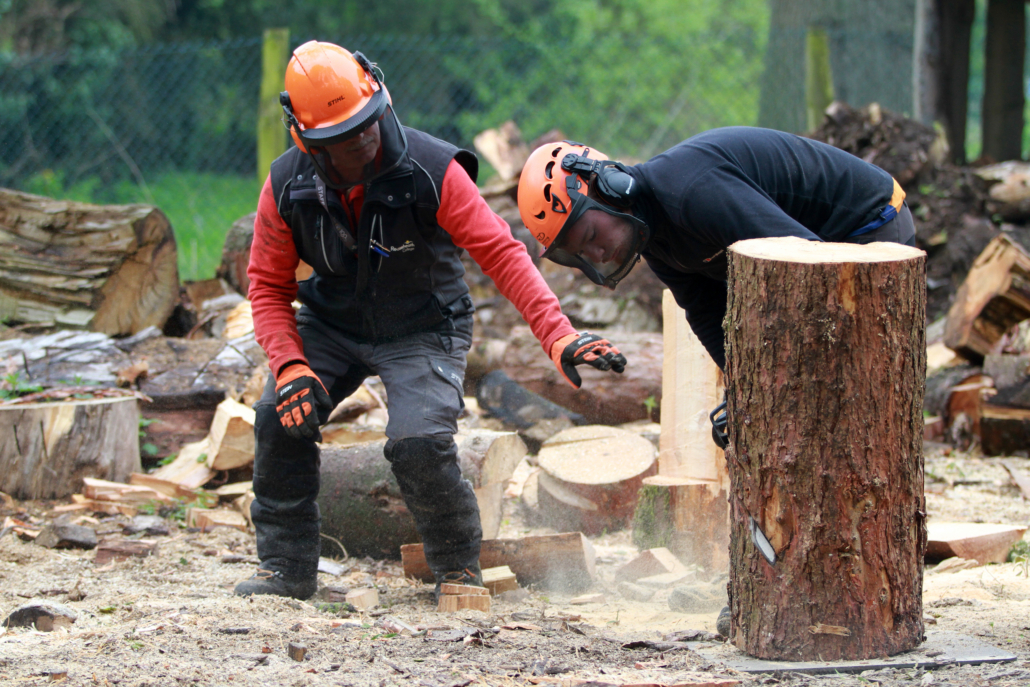 Alan Mottram – Advanced Practitioner – Forestry and Arboriculture - Reaseheath College