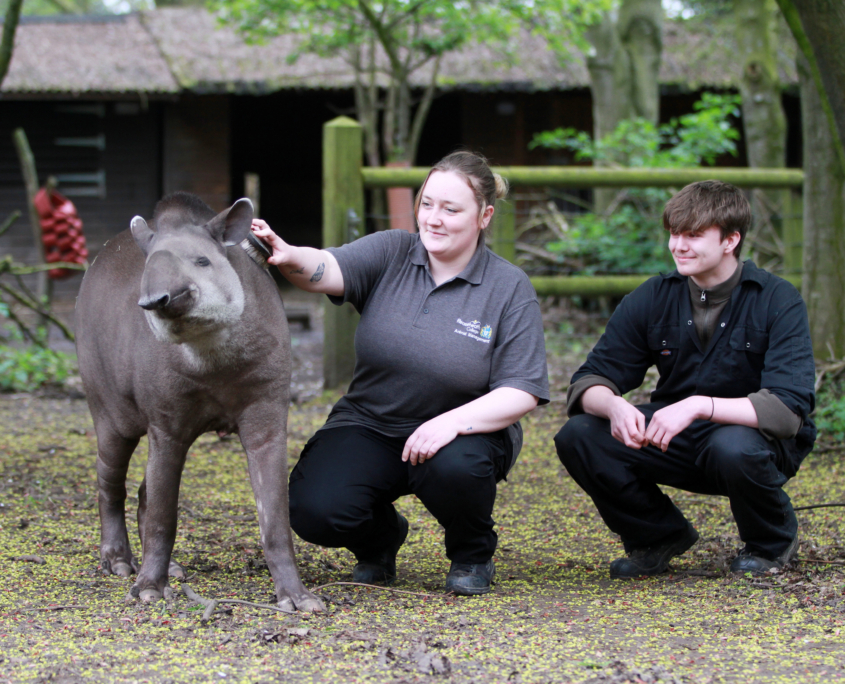What it’s like to study Animal Management at Reaseheath by Niamh Hearty - Reaseheath College