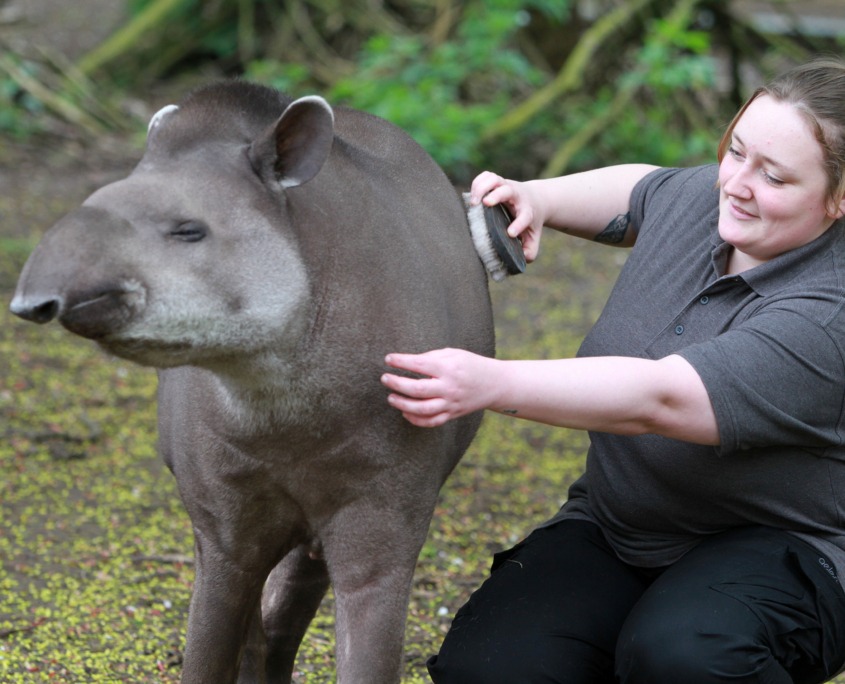 What it’s like to study Animal Management at Reaseheath by Niamh Hearty - Reaseheath College