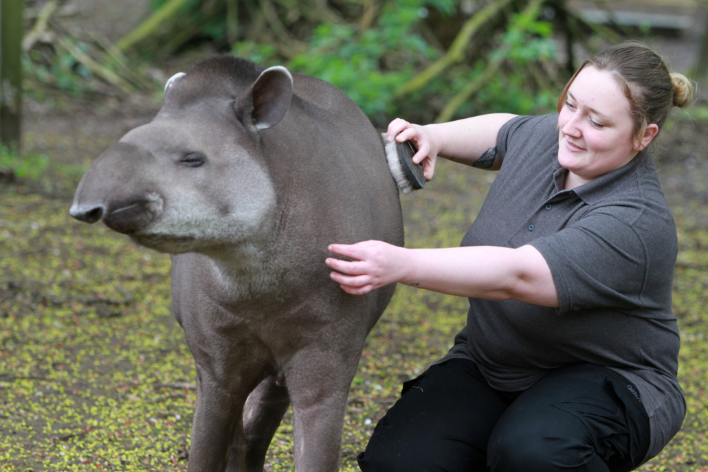 What it’s like to study Animal Management at Reaseheath by Niamh Hearty - Reaseheath College