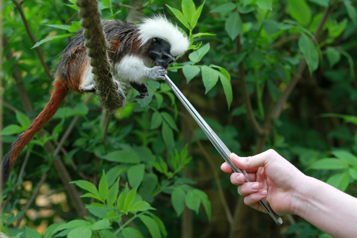 RH280423-200 - Reaseheath College