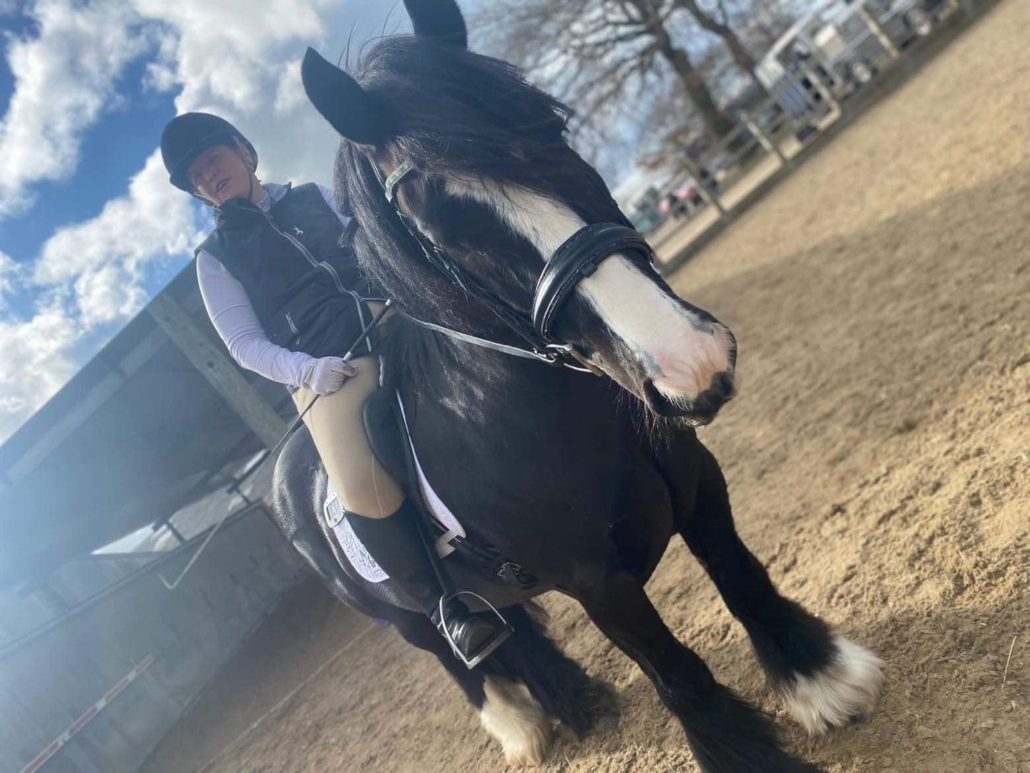 Reaseheath Equestrian Centre Camps - Reaseheath College