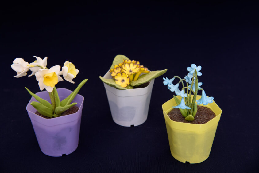 MicrosoftTeams-image - Reaseheath College