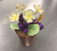 Spring Flowers - Reaseheath College