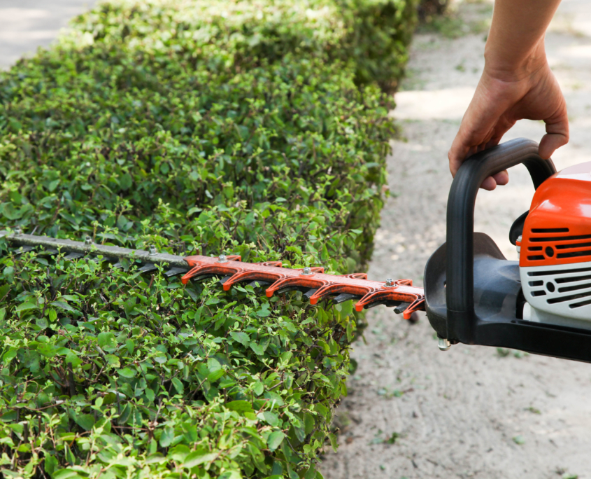 NPTC - Reaseheath College