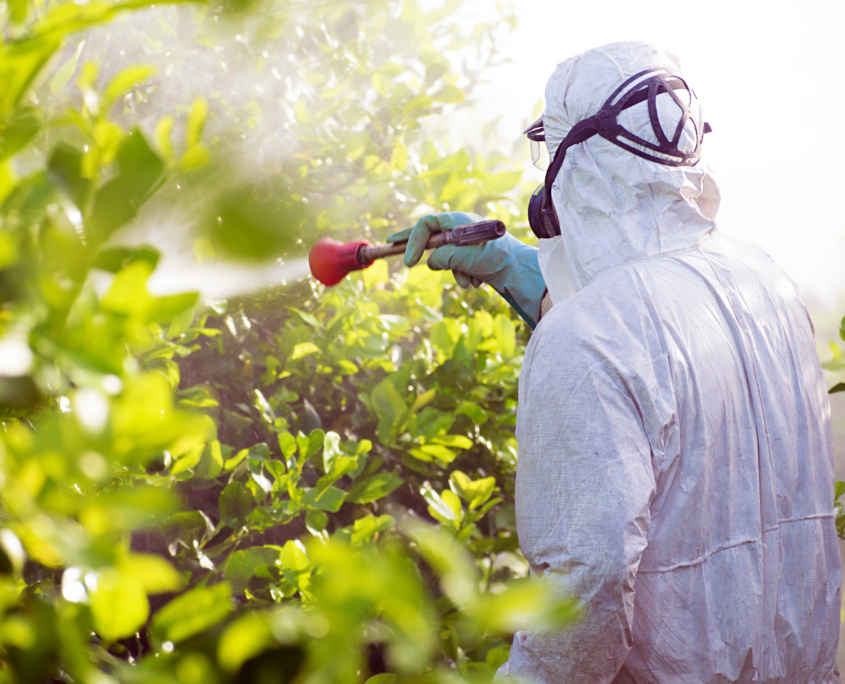 NPTC - Reaseheath College