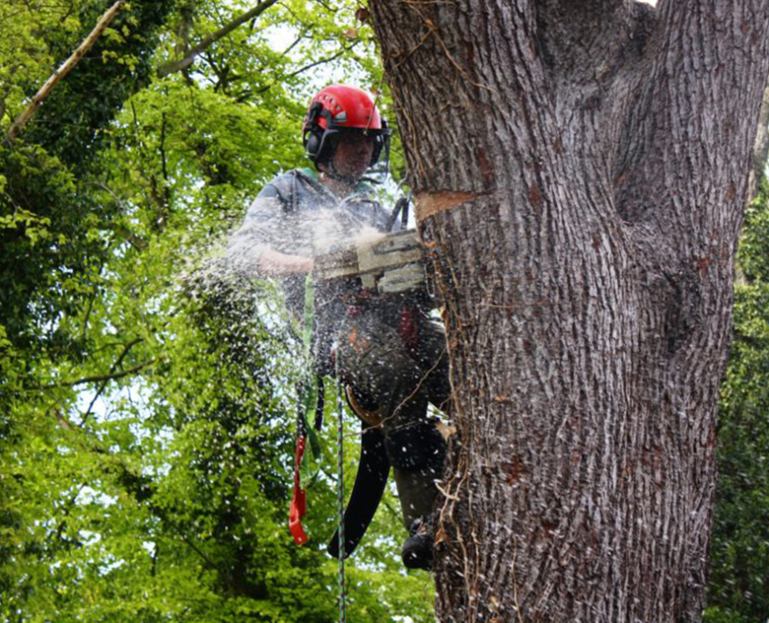 NPTC - Reaseheath College