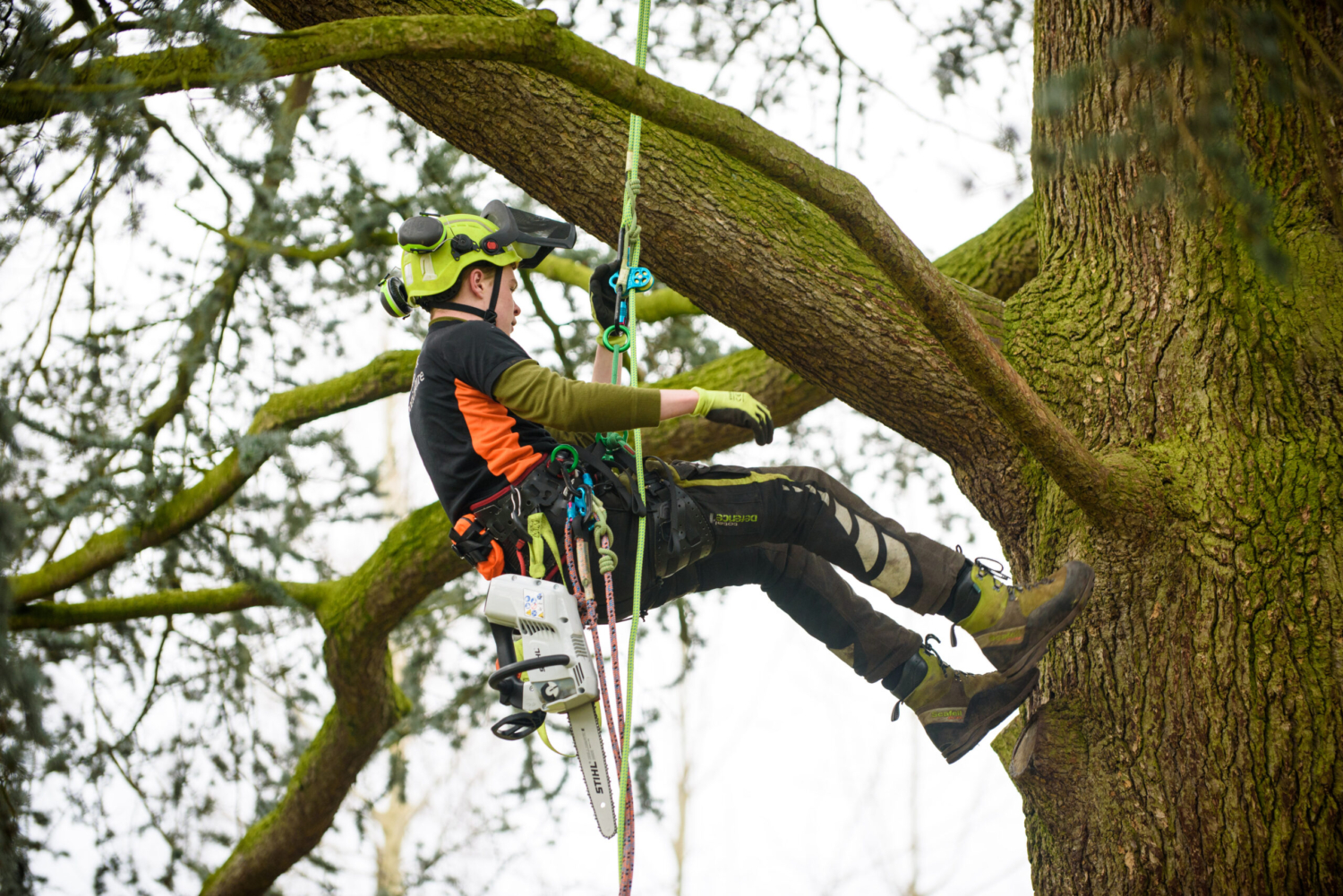 tree-climbing-rescue - Reaseheath College