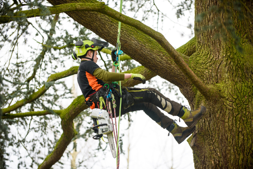 tree-climbing-rescue - Reaseheath College
