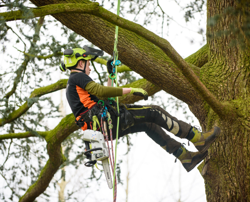 NPTC - Reaseheath College