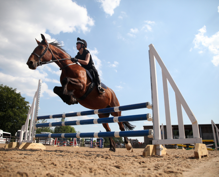 FE Subject Areas - Reaseheath College