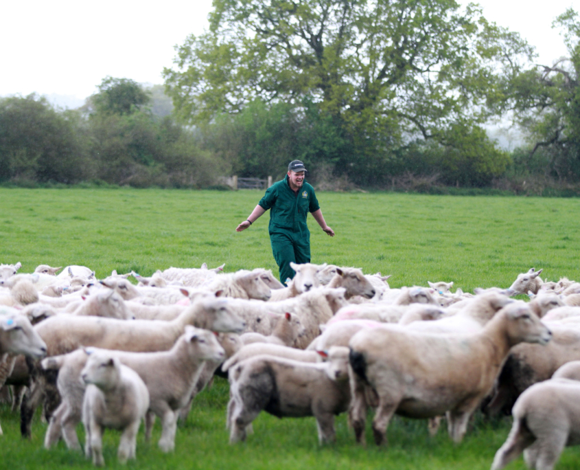 FE Subject Areas - Reaseheath College