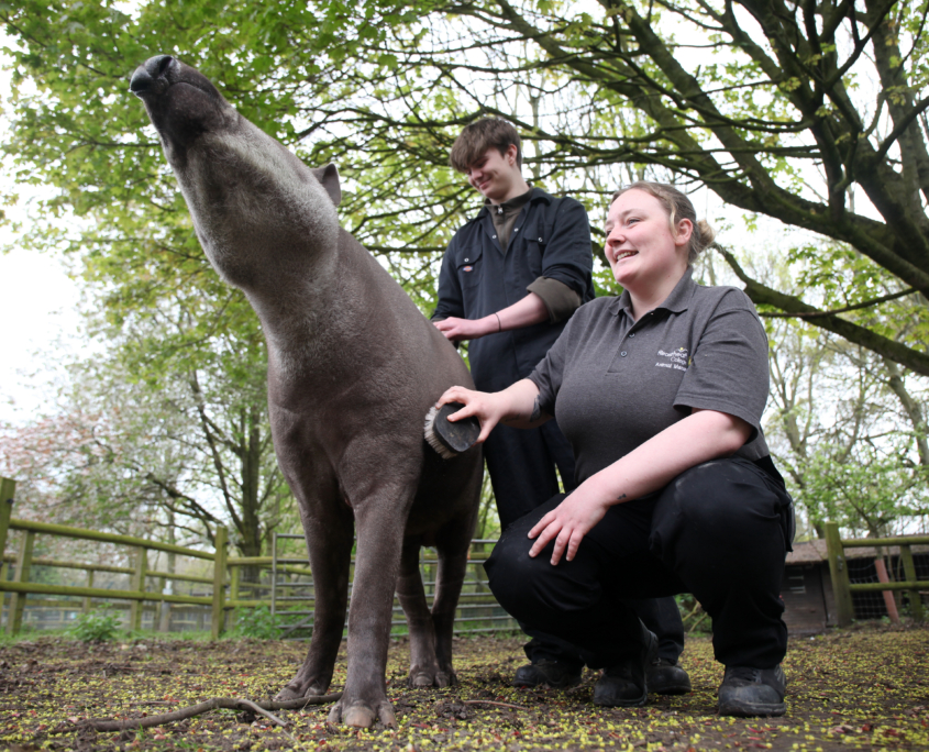 Courses available - Reaseheath College