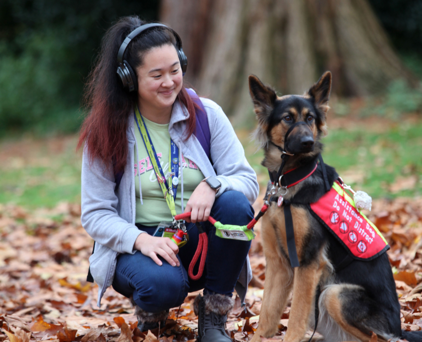 Assistance dog who rescued student from fire wins national award - Reaseheath College