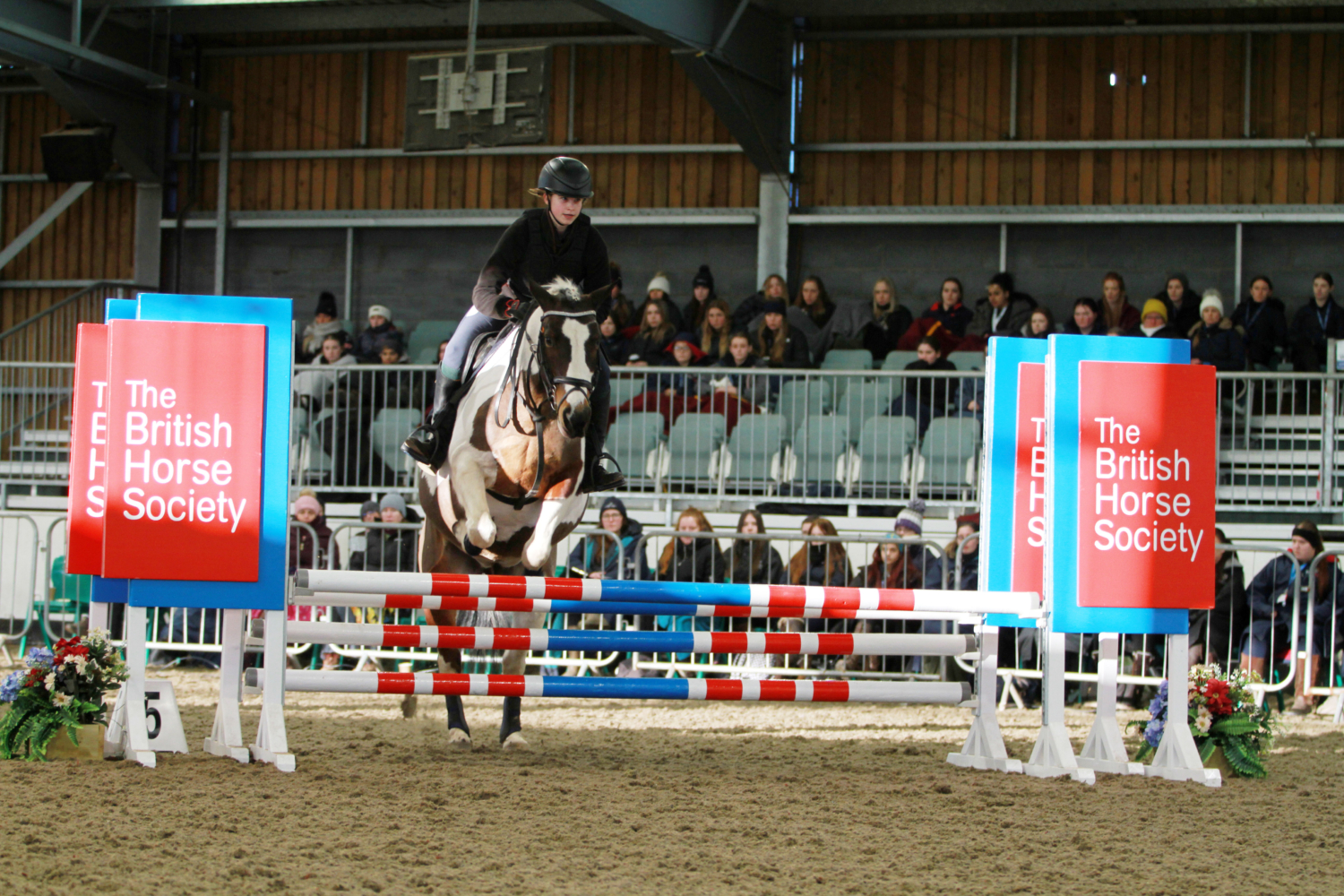 Morgan Holt during a jumping session - Reaseheath College