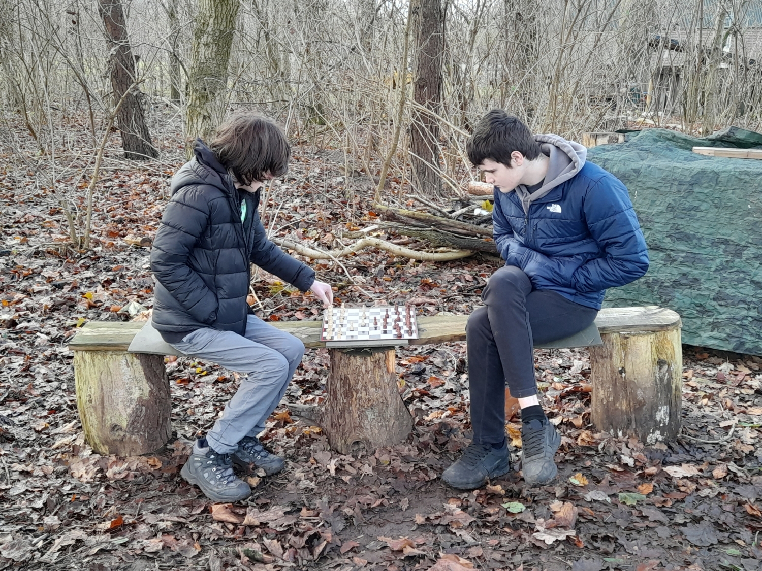 Forest College - Reaseheath College