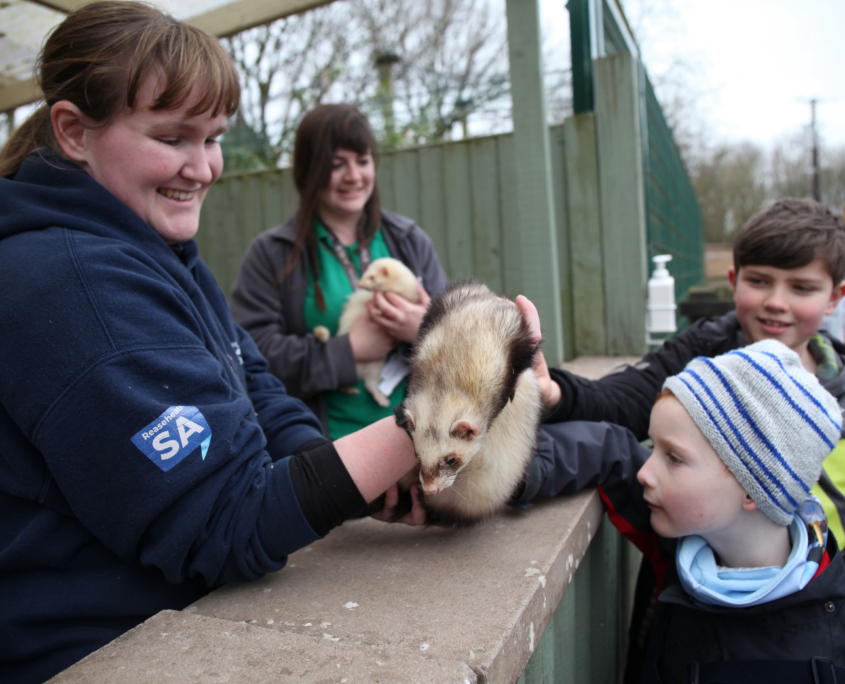 Change of date for popular Reaseheath lambing event - Reaseheath College