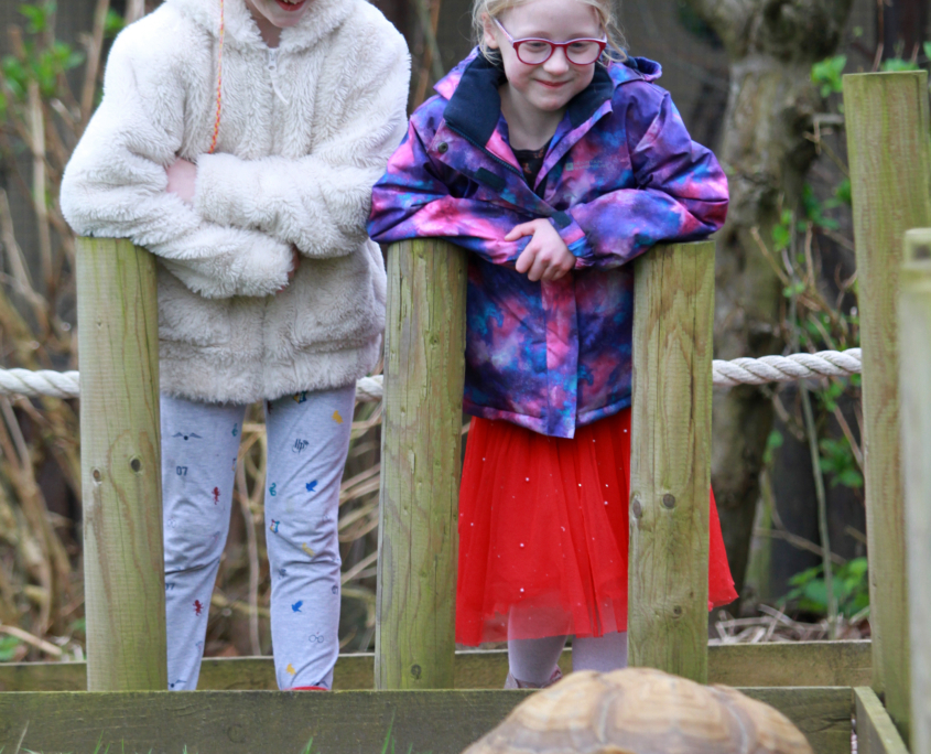 Families flock to Reaseheath College’s Lambing Weekend - Reaseheath College