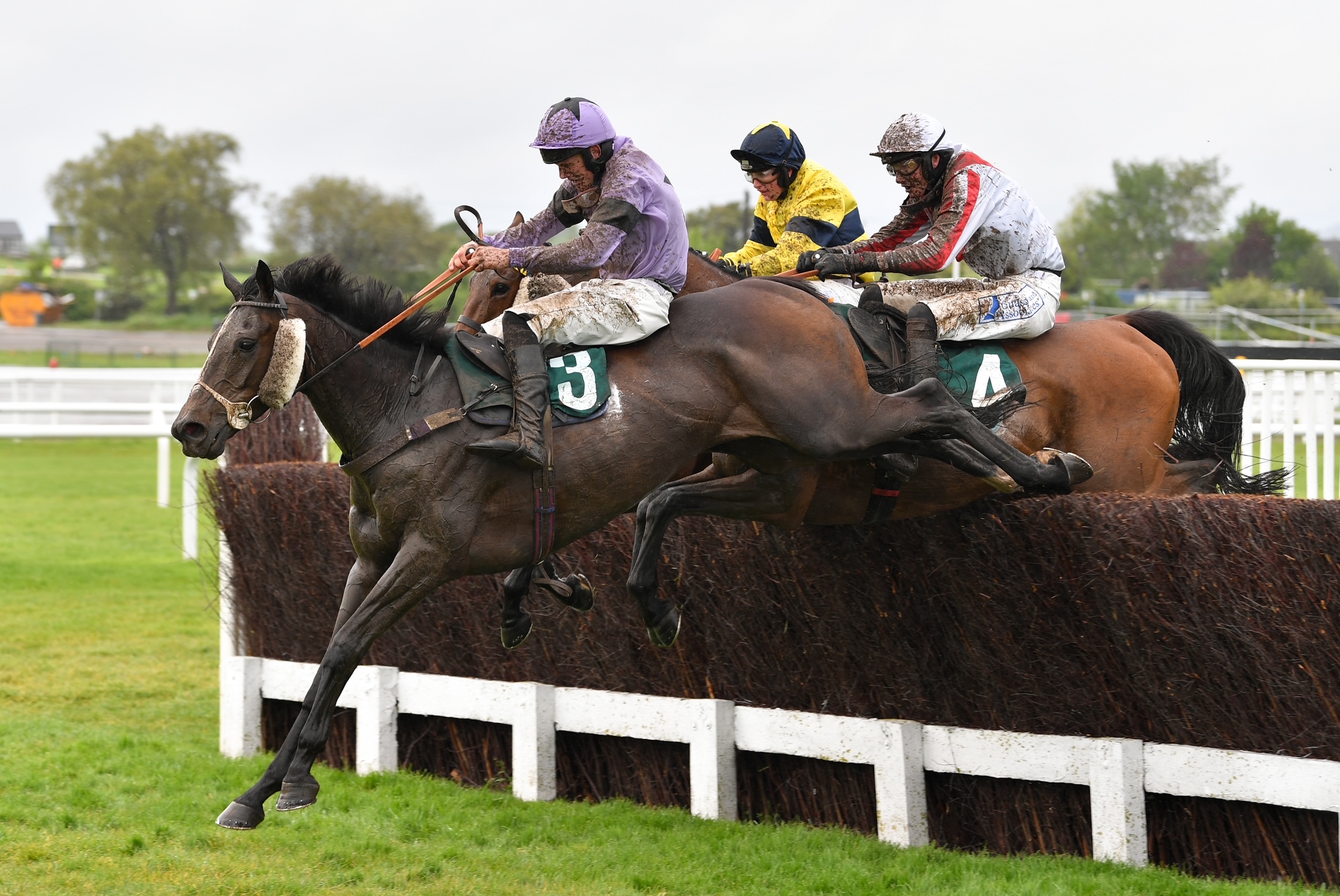 Iskandar Pecos, jockey Huw Edwards jumping - Reaseheath College