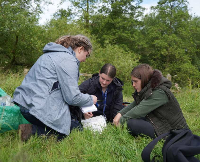 Conservation students partner with RECORD for Greenway Trail bioblitz - Reaseheath College