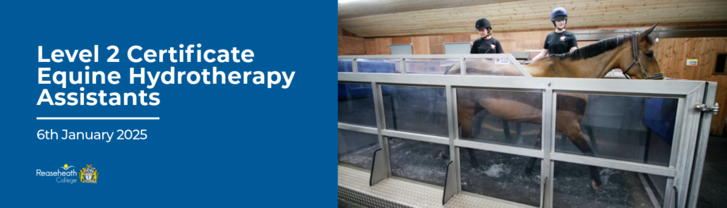 Equine short courses - Reaseheath College