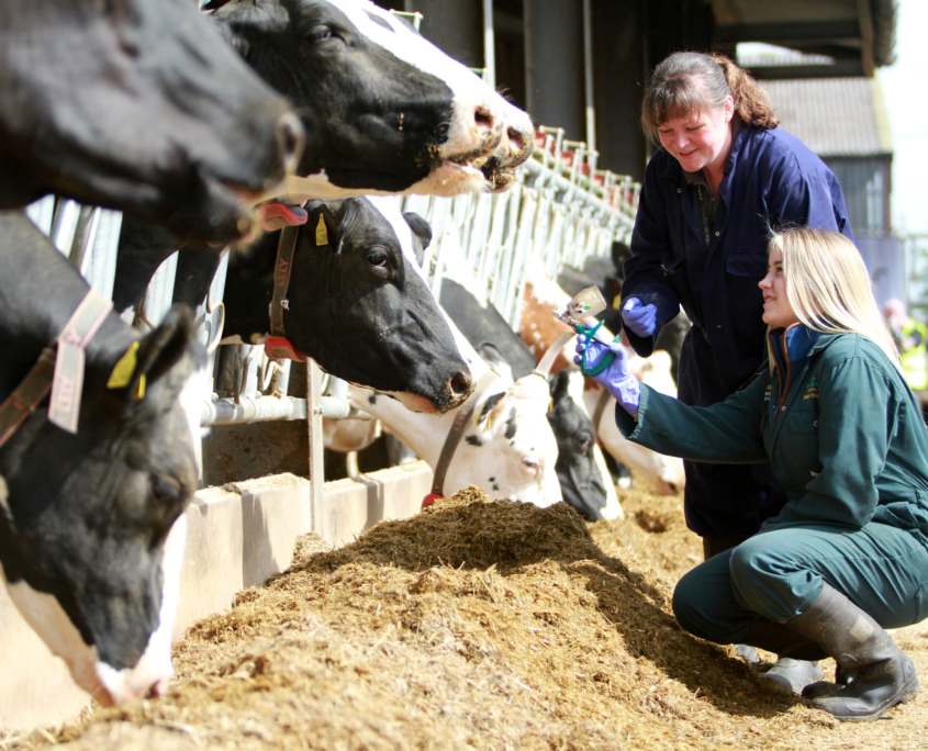 Apprenticeships | Reaseheath College