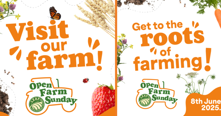 Experience Reaseheath | Reaseheath College